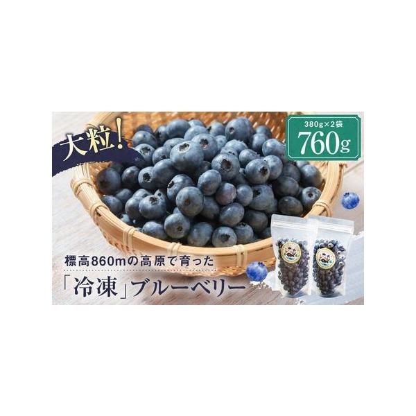 ■ 容量　ブルーベリー（冷凍）760g（380g×2）　【賞味期限】　180日(冷凍状態）■ 配送について　1月上旬より順次発送。1月上旬以降はご入金確認後、決済日から14日以内に発送※長期の不在がある場合は必ず【備考欄】に記載してください...