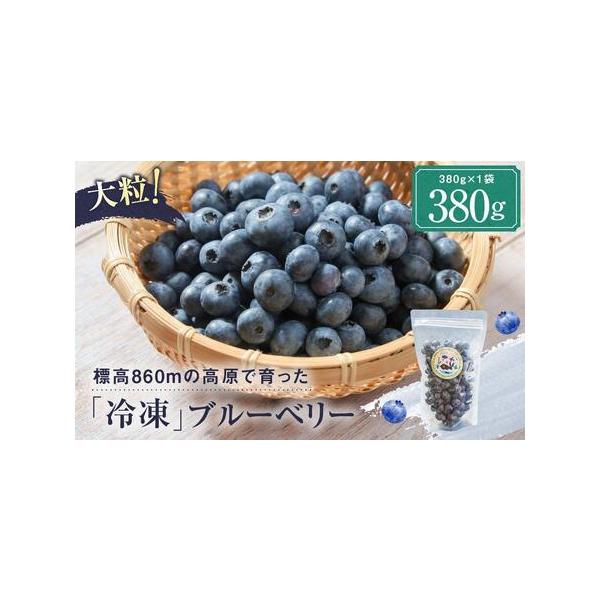 ■ 容量　ブルーベリー（冷凍）380g×1　　【賞味期限】　180日(冷凍状態）■ 配送について　1月上旬より順次発送。1月上旬以降はご入金確認後、決済日から14日以内に発送※長期の不在がある場合は必ず【備考欄】に記載してください。※寄附者...