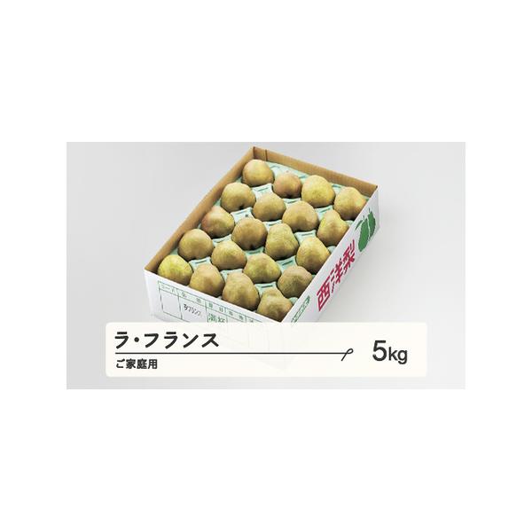 ■ 容量　ラ・フランス ご家庭用 約5kg(8~20個程度)■ 配送について　2026年11月上旬~12月中旬頃　※発送時期は、例年の発送時期を記載しております。天候や収穫状況により変更になる場合があります。　タイプ：【常温】
