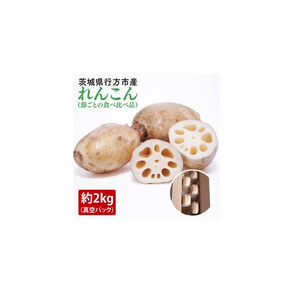 ■ 容量　【内容量】　れんこん　約2kg（4〜5袋）（真空パック）　■ 配送について　2025年9月中旬から〜2026年1月31日まで発送予定　※生産の都合により前後する場合がございます。予めご了承下さい。　2025年9月中旬からはご入金確...