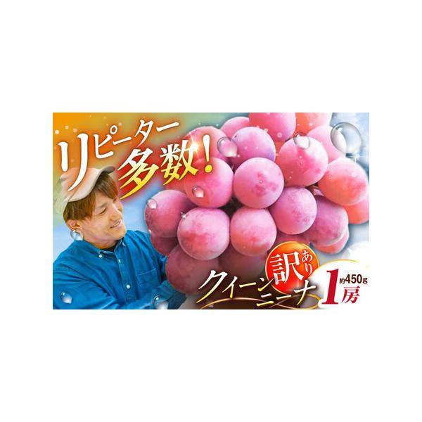 ■ 容量　クイーンニーナ 1房（約450g）　　■ 配送について　8月下旬より順次発送　※天候により熟期がずれ、10日程度発送が前後する場合がございますのでご了承ください。　※配送できない地域がございます。　・一部離島（島根県雲南市から配送...