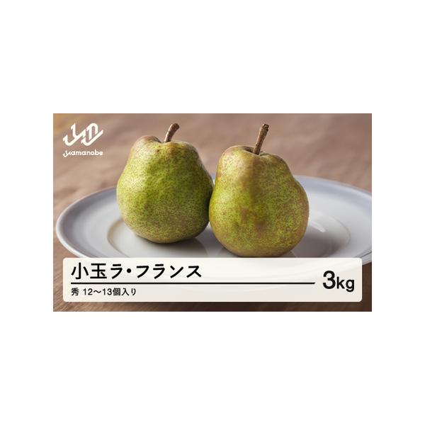 ■ 容量　小玉ラ・フランス 秀 3kg (12~13個入り) ■ 配送について　2026年1月上旬〜1月中旬頃に順次発送　※発送時期は、例年の発送時期を記載しております。天候や収穫状況により変更になる場合があります。　タイプ：【常温】