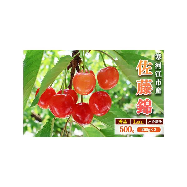■ 容量　【容量】　2026年産（令和8年産）　山形県産（寒河江市産）　さくらんぼ 「佐藤錦」《秀》　Lサイズ以上 500g (250g×2パック)　※令和8年産の先行予約品です。　　※こちらの返礼品は、のし・ラッピング対応はできません。　...