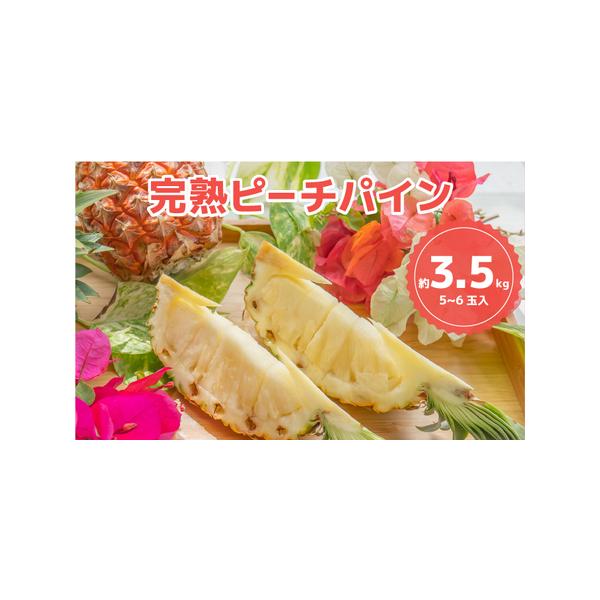 ■ 容量　【西表島産】完熟ピーチパイン約3.5kg（5〜6個入）■ 配送について　2026年4月下旬〜6月下旬　例年より収穫が遅く発送が遅れる場合がございます。　タイプ：【常温】