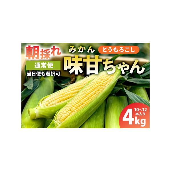 ■ 容量　【通常便】※本州限定のお届け　とうもろこし10本〜12本入り■ 配送について　2026年6月20日ごろ〜8月上旬　タイプ：【冷蔵】