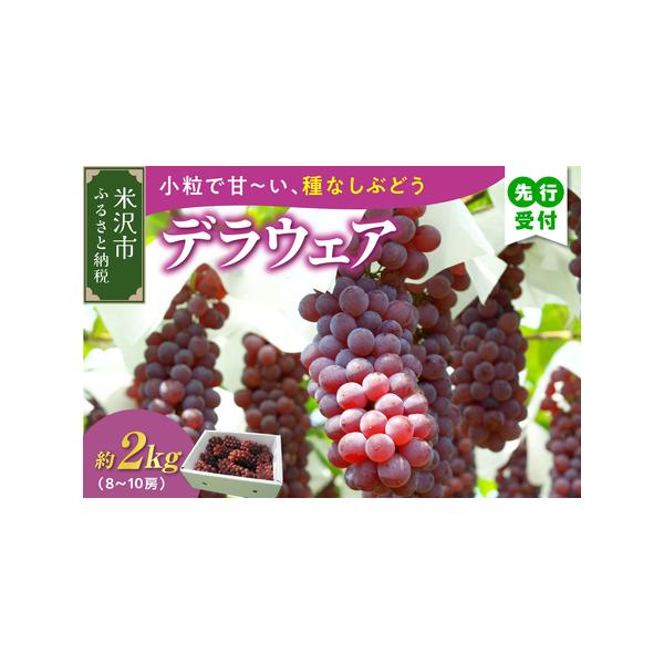 ■ 容量　2kg（8〜10房）　※重さは目安となりますので、ご了承ください。　　【消費期限】　冷蔵で1週間程度■ 配送について　2026年8月20日〜9月20日頃発送予定　※生育状況によって前後する場合がございます。　タイプ：【冷蔵】