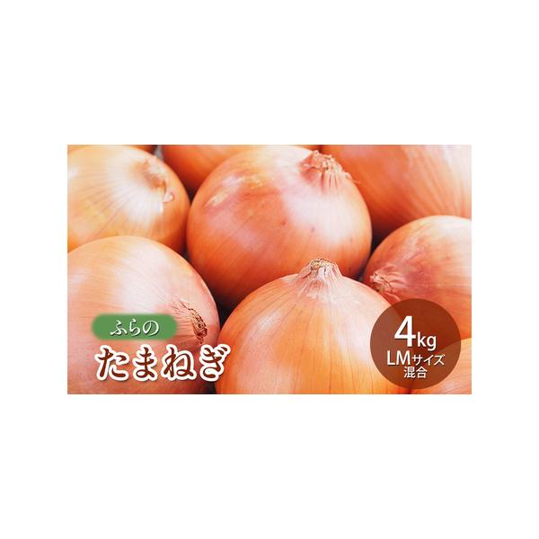 ■ 容量　たまねぎ4kg　■ 配送について　2025年9月初旬〜2026年2月下旬まで　　タイプ：【常温】