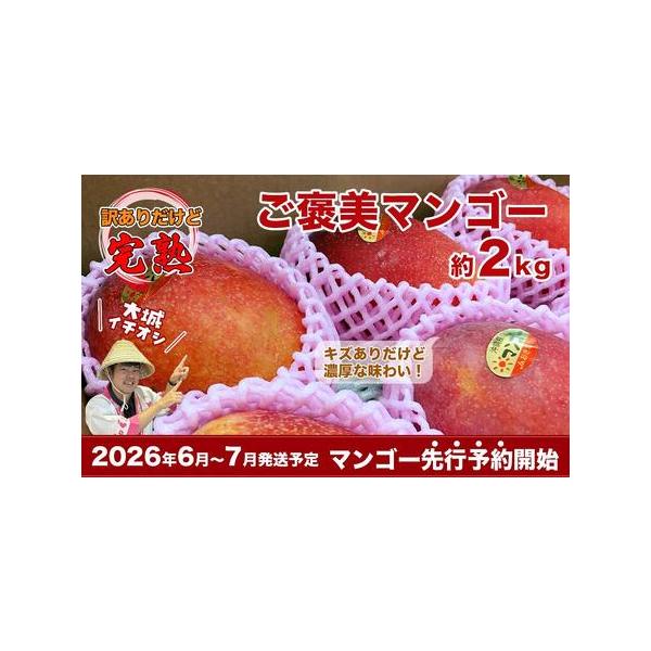 ■ 容量　アップルマンゴー　2kg　原産国／製造国：日本沖縄県　産地（都道府県）：沖縄　販売形態：訳あり　販売者：一般社団法人　南城市観光協会 南城市地域物産館　沖縄県南城市知念字久手堅539番地■ 配送について　2026年5月〜7月に順次...