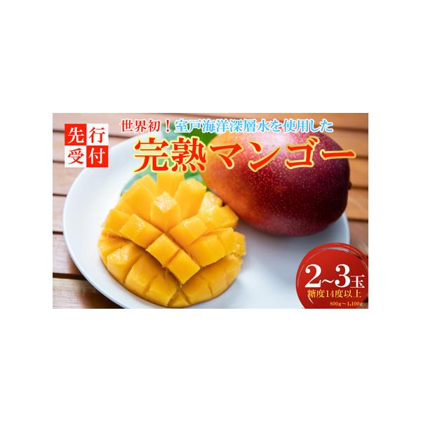 ■ 容量　■完熟マンゴー　（アーウィン種）　　2〜3玉■ 配送について　2026年7月上旬から7月下旬にかけて順次発送いたします。　※誠に恐れ入りますが、配送伝票に寄附者様のお名前を記載しない対応は致しかねます。　あらかじめご了承くださいま...