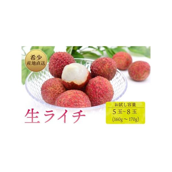 ■ 容量　■生ライチ　5玉〜8玉 160g〜170g　※入数・品種はお選びいただけません。■ 配送について　2026年6月上旬から順次発送いたします。　※誠に恐れ入りますが、配送伝票に寄附者様のお名前を記載しない対応は致しかねます。　あらか...