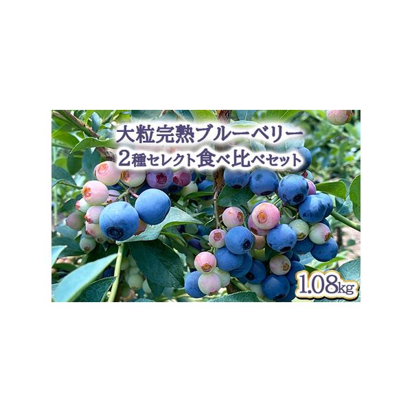 ■ 容量　1箱1080g（1パック180g入りを6パック）　（収穫時期によりクライマックス、ブライトウェル、ティフブルー、パウダーブルー、バルドウィンの中から2種類を厳選し、各3パックを化粧箱に入れて梱包）■ 配送について　2026年7月〜...