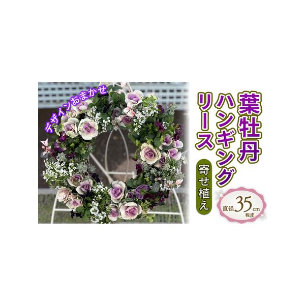 ■ 容量　35cm×35cm(容器サイズ）＊植物が入るとそれ以上になります■ 配送について　2025年11月25日〜2025年12月20日順次発送予定　※お花の生育状況により前後する可能性がございます。　※お届け日の指定はできませんのでご了...