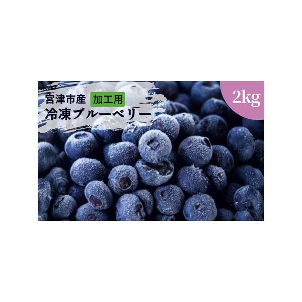 ■ 容量　天橋立産冷凍ブルーベリー2kg（加工用）　　タイプ：【冷凍】