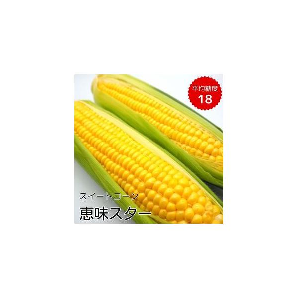 ■ 容量　5kg（10〜13本）■ 配送について　2026年6月に発送します。　※生産の都合で前後する場合があります。　タイプ：【冷蔵】