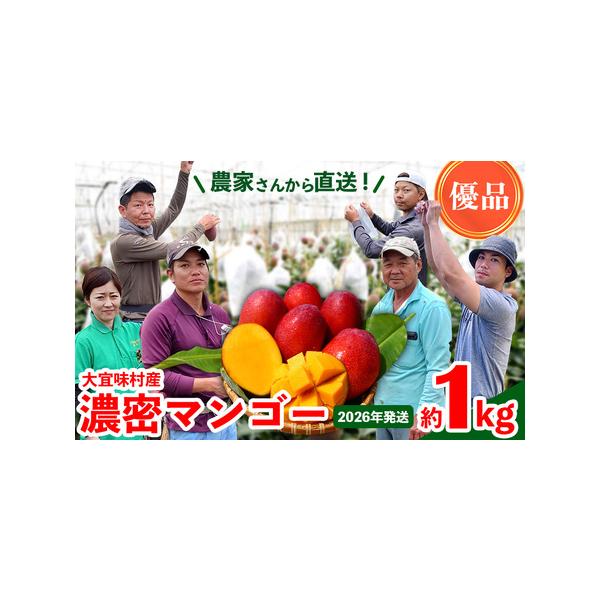■ 容量　大宜味村産マンゴー　優品2玉〜3玉(約1kg)　※冷蔵で送る為水分が飛び50g〜100ｇ差が出る事があります。　化粧箱■ 配送について　2026年7月初旬〜8月中旬発送予定　　タイプ：【冷蔵】