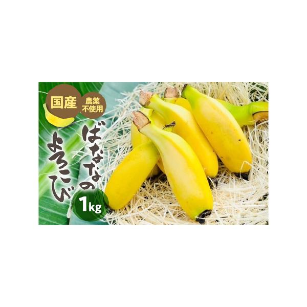 ■ 容量　国産バナナ （ベイビーナ）約1kg■ 配送について　お届け時期：7月〜11月頃に順次お届けいたします。　　　※沖縄、離島など一部、配送不可のエリアがございます。※　タイプ：【常温】