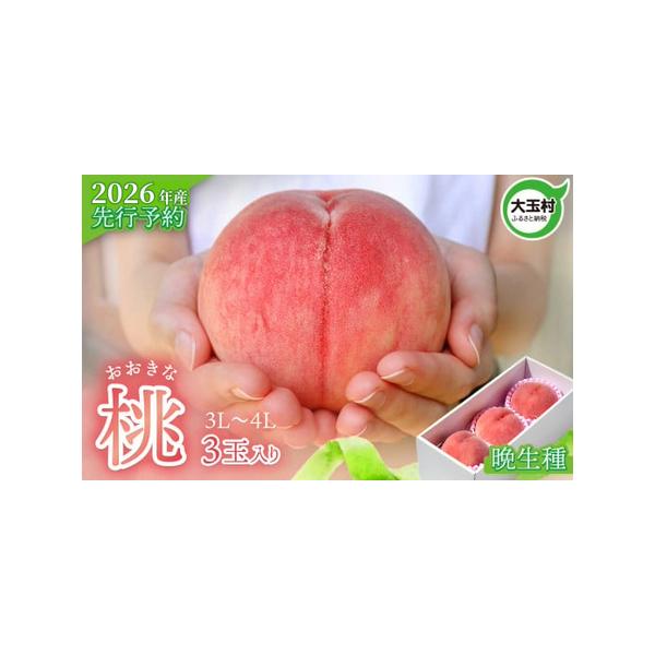 ■ 容量　大玉村産　桃　晩生種（川中島白桃、さくら、ゆうぞら等）　3玉 (約1kg)■ 配送について　2026年8月上旬〜9月下旬頃、お申し込み順に発送します。　○申込締切　 2025年7月20日　○入金期限　 2025年7月30日　※予定...