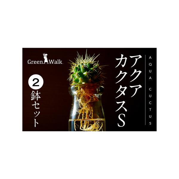 ■ 容量　アクアカクタスS　 2鉢セット　【サイズ】器：W5×H9.7cm　【材質】器：ガラス　※お届けするサボテンはお任せです。■ 配送について　ご入金確認から2週間程度　※以下の期間、地域は発送不可となりますのでご了承ください。発送可と...