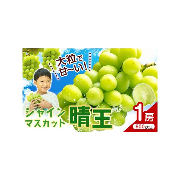 ■ 容量　1房(600g以上)■ 配送について　2026年9月上旬-10月下旬頃出荷(土日祝除く)　　タイプ：【冷蔵】