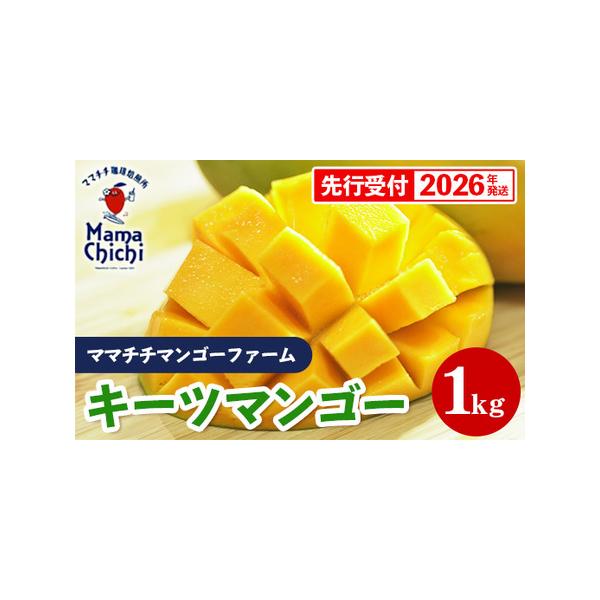 ■ 容量　キーツマンゴー約1kg（1玉）　※玉数の指定はできません　　アレルギー：ウルシ科■ 配送について　2026年7月下旬〜8月末頃を予定　タイプ：【常温】