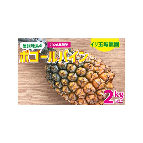 ■ 容量　沖縄県名護市産ボゴールパイン2kg以上（2〜4玉）■ 配送について　2026年7月上旬〜8月上旬頃　タイプ：【冷蔵】