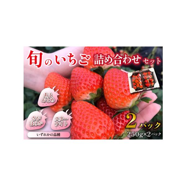 ■ 容量　さがほのか、あまおとめ、スターナイト の中から250g×2P　　※品種の指定はできません。　※その日の収穫でできるだけ大きな粒を詰め合わせます。■ 配送について　※2026年1月以降順次発送いたします。　※天候や発育状況により出荷...