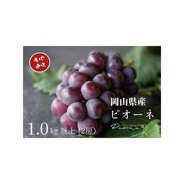 ■ 容量　ニューピオーネ 2房 合計1.0kg以上　岡山県内産（5条8号ハ）　※お届け日、時間の指定は申し訳ないですが、お受けできません。　※果物は大変傷みやすいです。受取後すぐにお品の状態をご確認ください。　※天候によりまれに種が入る事が...