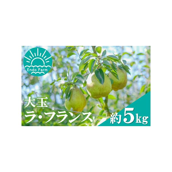 ■ 容量　ラ・フランス　等級：特秀　容量：約5kg(12〜16玉)　サイズ：3L〜5L　※サイズはお選びいただけませんのでご了承ください。　■ 配送について　令和8年11月上旬〜12月上旬にかけて順次発送予定　※生育状況によって発送時期が変...