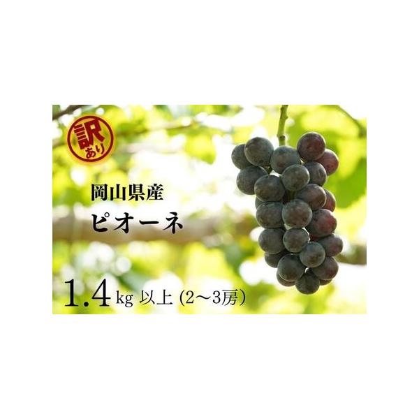 ■ 容量　【家庭用】ニューピオーネ 2〜3房 合計1.4kg以上　岡山県内産（5条8号ハ）　※お届け日、時間の指定は申し訳ないですが、お受けできません。　※果物は大変傷みやすいです。受取後すぐにお品の状態をご確認ください。　※天候によりまれ...
