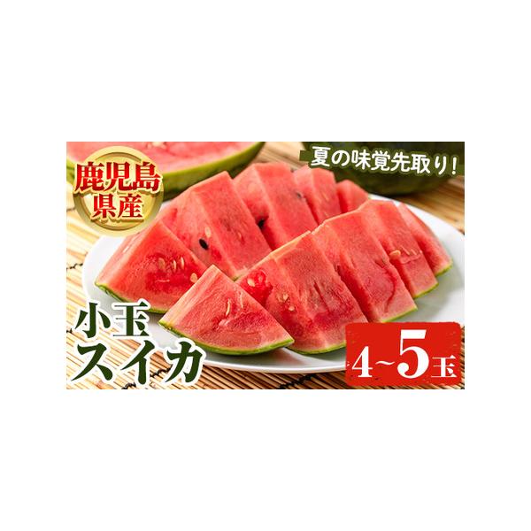 ■ 容量　4〜5玉(約4kg)　※小玉すいかの中でも更に小さめを選んで発送します。　※1回の食事で食べきりサイズ(1玉800g〜1kg)です。■ 配送について　2026年5月下旬以降順次発送予定　※青果のため、育成状況により発送が前後する場...