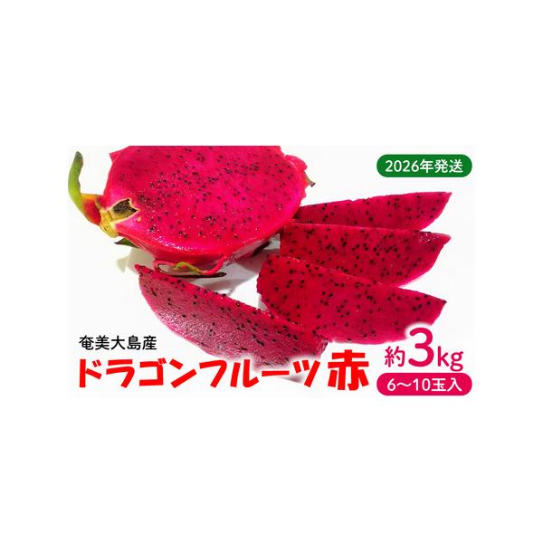 ■ 容量　ドラゴンフルーツ赤 約3kg（6〜10玉入）■ 配送について　2026年7月下旬〜10月中旬にかけて発送予定　　タイプ：【冷蔵】