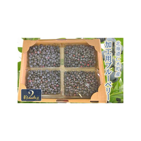 ■ 容量　加工用ブルーベリー約2kg　※サイズ混載 　産地：仁木町　　※ふるさと納税返礼品地場産品基準(平成31年総務省告示第179号第5条)のうち該当する類型について　仁木町内において生産されたものであることから第１号に該当。　■ 配送に...