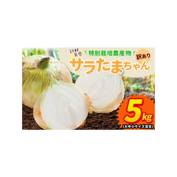 ■ 容量　約5kg(5kg×1箱) 大中小サイズ混合■ 配送について　2026年4月中旬-5月末頃に出荷　タイプ：【常温】