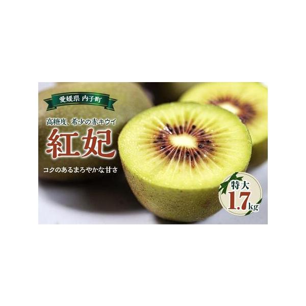 ■ 容量　赤キウイ「紅妃」特大サイズ　1.7キロ　【賞味期限】　発送日から15日間　【保存方法】　1週間以内は常温（20度以下）それ以降は冷蔵　【アレルギー】　キウイフルーツ　※ 表示内容に関しては各事業者の指定に基づき掲載しており、一切の...