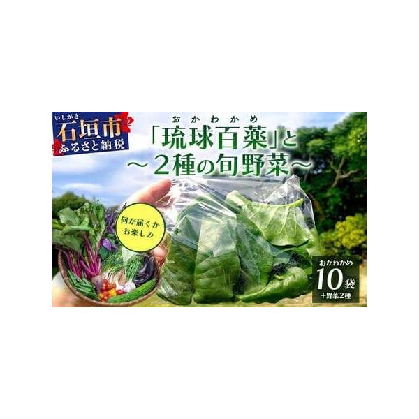 ■ 容量　琉球百薬（おかわかめ）10袋　旬の野菜２袋■ 配送について　2026年2月より順次発送　タイプ：【冷蔵】