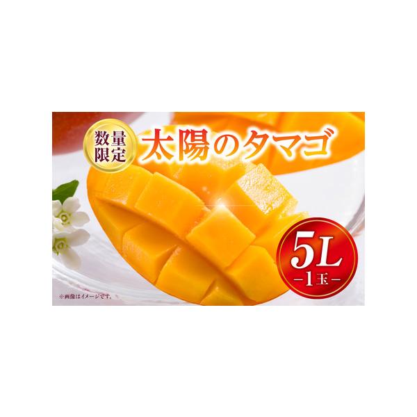 ■ 容量　太陽のタマゴ　5Lサイズ×1玉　(合計650〜700g)　　■ 配送について　2026年4月21日〜7月15日までに順次発送予定　※一部離島にはクール便でのお届けが出来ませんのでご注意ください。　タイプ：【冷蔵】