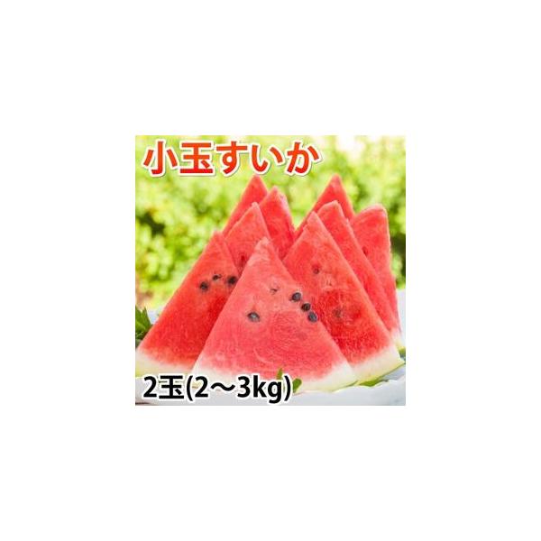 ■ 容量　※上記に記載■ 配送について　2026-05-21〜2026-07-31　タイプ：【常温】