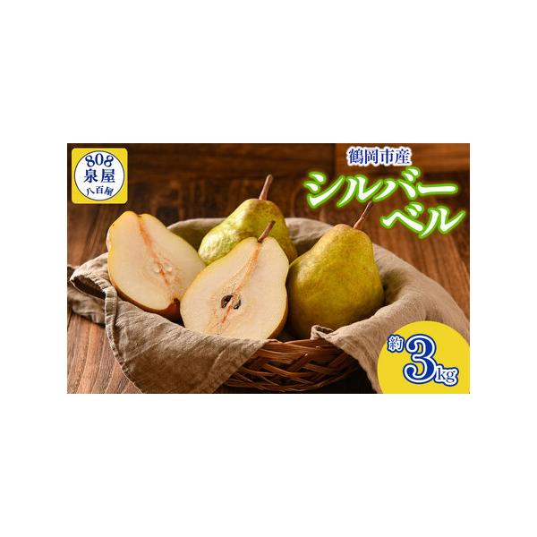 ■ 容量　鶴岡市産　シルバーベル(洋梨)　約3kg　　【提供事業者】泉屋商店　　【賞味(消費)期限】目安として発送日含む7日程度　※風通しの良い冷暗所で保管ください。　　■ 配送について　【申込期日】令和8年10月24日までご入金ください。...