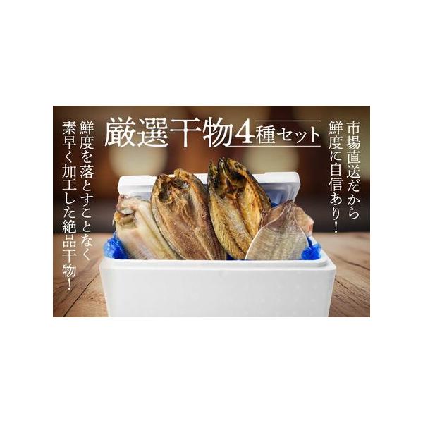 ■ 容量　・イカ一夜干し×1枚・鯖一夜干し(大)×1枚・真ホッケ一夜干し×1枚・オイランガレイ一夜干し×1枚■ 配送について　寄附（決済）完了後1か月以内に発送　タイプ：【冷凍】