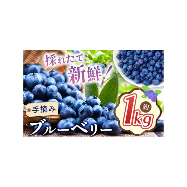 ■ 容量　松川村産 ブルーベリー 1kg■ 配送について　2026年6月下旬〜8月上旬の期間で順次発送いたします。　※天候・出荷状況により前後する場合がございます。　タイプ：【冷蔵】
