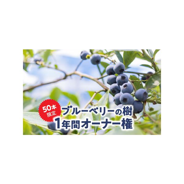 ■ 容量　ブルーベリーの樹　1年間オーナー権　・育成・剪定・収穫の報告　・樹木にお名前の入ったプレートを設置　・ブルーベリー約1kg（フレッシュ(生)）　※サービス提供地　鹿児島県鹿屋市　　原材料：ブルーベリー　アレルギー：なし　　有効期限...