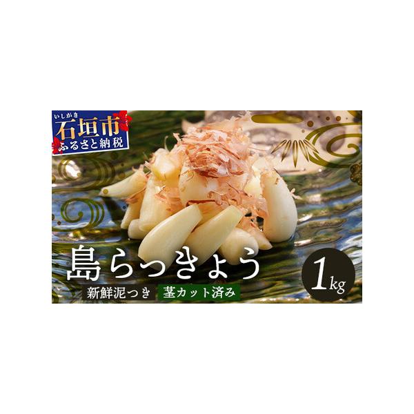 ■ 容量　1000g■ 配送について　2026年4月発送予定です。（天候状況等により発送時期が変動する可能性もございます。）　新聞紙等に包んで、レターパックプラスでお届けいたします。　タイプ：【常温】
