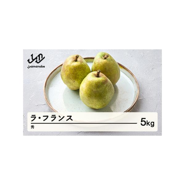 ■ 容量　秀品 5kg■ 配送について　11月上旬~1月下旬　※生育状況等の理由により配送時期が前後する場合がございます。　タイプ：【常温】