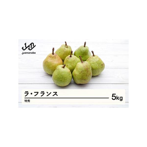 ■ 容量　特秀品 5kg■ 配送について　11月上旬~1月下旬　※生育状況等の理由により配送時期が前後する場合がございます。　タイプ：【常温】