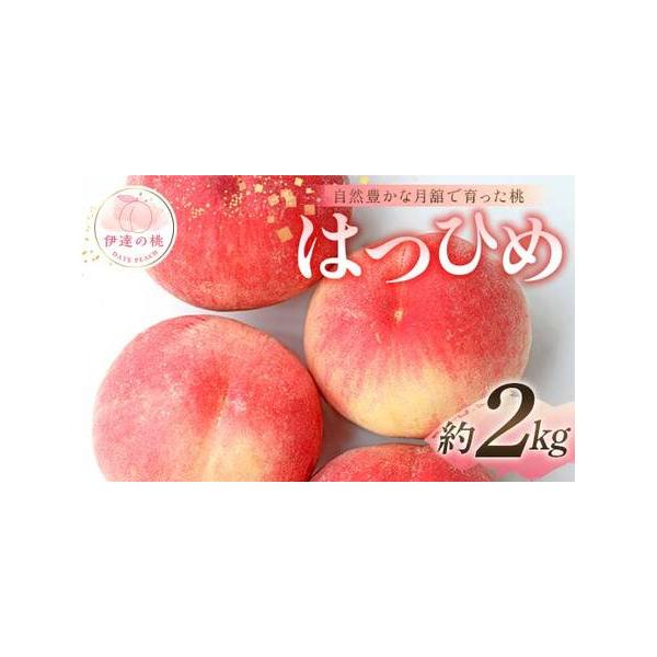 ■ 容量　【容量】　はつひめ 約2kg (6〜10玉)　※収穫状況により発送時期が前後するため、前もって発送日を確定しにくい状況について何卒ご理解いただければ幸いです。　※沖縄・離島へのお届けはできかねます。　※桃はとてもデリケートな果物で...