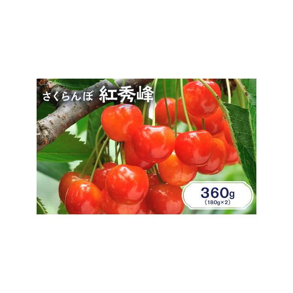 ■ 容量　さくらんぼ（品種：紅秀峰）360g（180g×2パック）　サイズ：L・Mサイズ　産地：北海道仁木町　※商品到着後、早めにお召し上がりください。　※賞味期間：発送から3日程度（冷蔵） 　　※ふるさと納税返礼品地場産品基準(平成31年...
