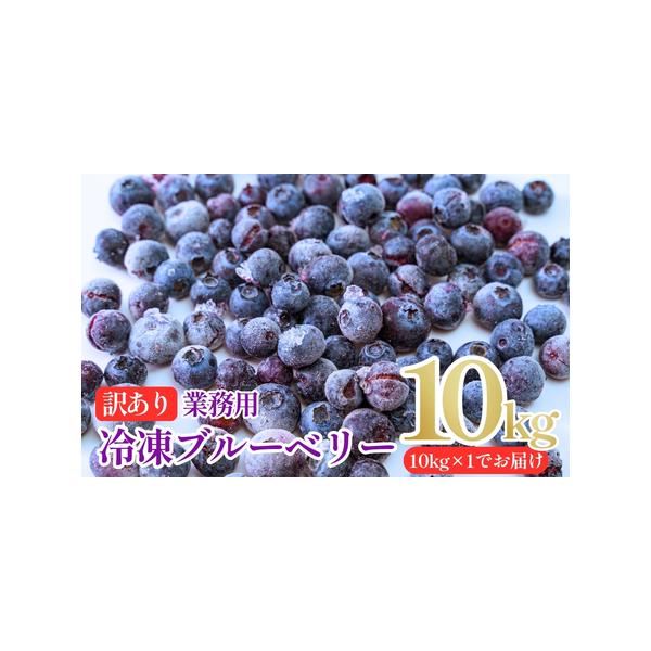 ■ 容量　＜内容量＞　冷凍ブルーベリー 10kg【規格外】　※一昨年及び昨年収穫分の冷凍ブルーベリーとなります。　※大きさは無選別（実が割れているものを含みますが鮮度などには全く問題ありません。　ジャム作り、スムージー、料理にご活用ください...
