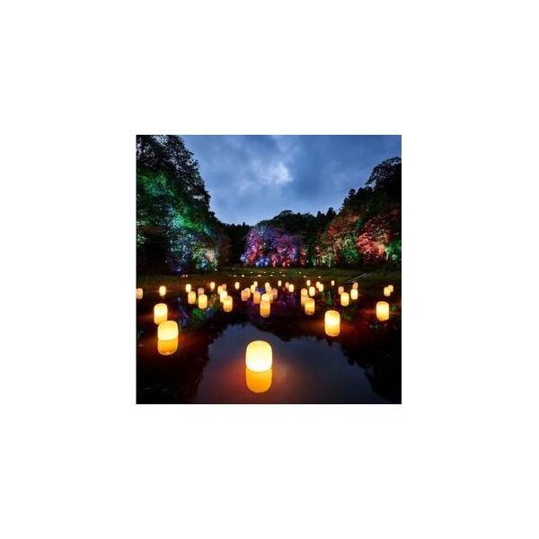 ■ 容量　※上記に記載■ 配送について　お申し込みより1週間程度で順次発送予定　タイプ：【常温】