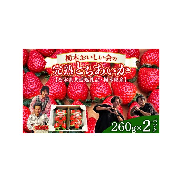 ■ 容量　520g■ 配送について　※2026年1月上旬〜4月下旬頃に順次発送予定　タイプ：【冷蔵】
