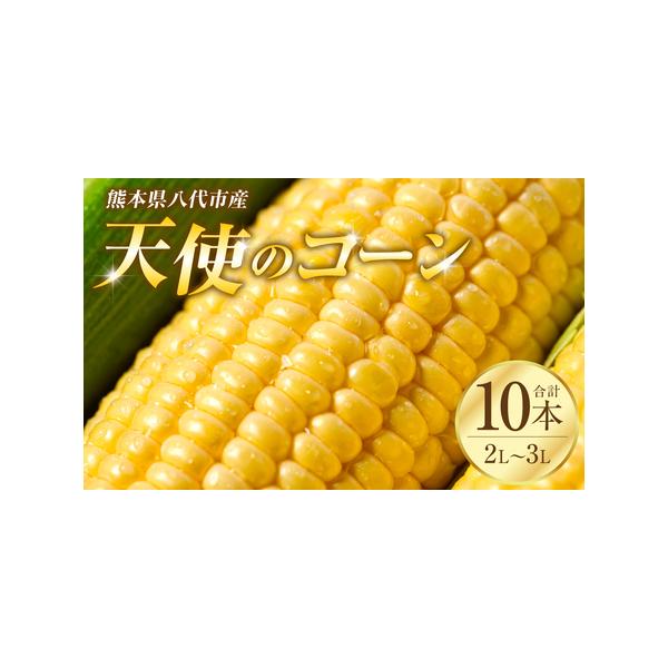■ 容量　1箱10本入り　(1本：350g〜500g)■ 配送について　ご寄附確認後、2026年5月中旬より順次発送予定　※天候や発送状況により多少前後する場合がございますので、予めご了承ください。　タイプ：【冷蔵】